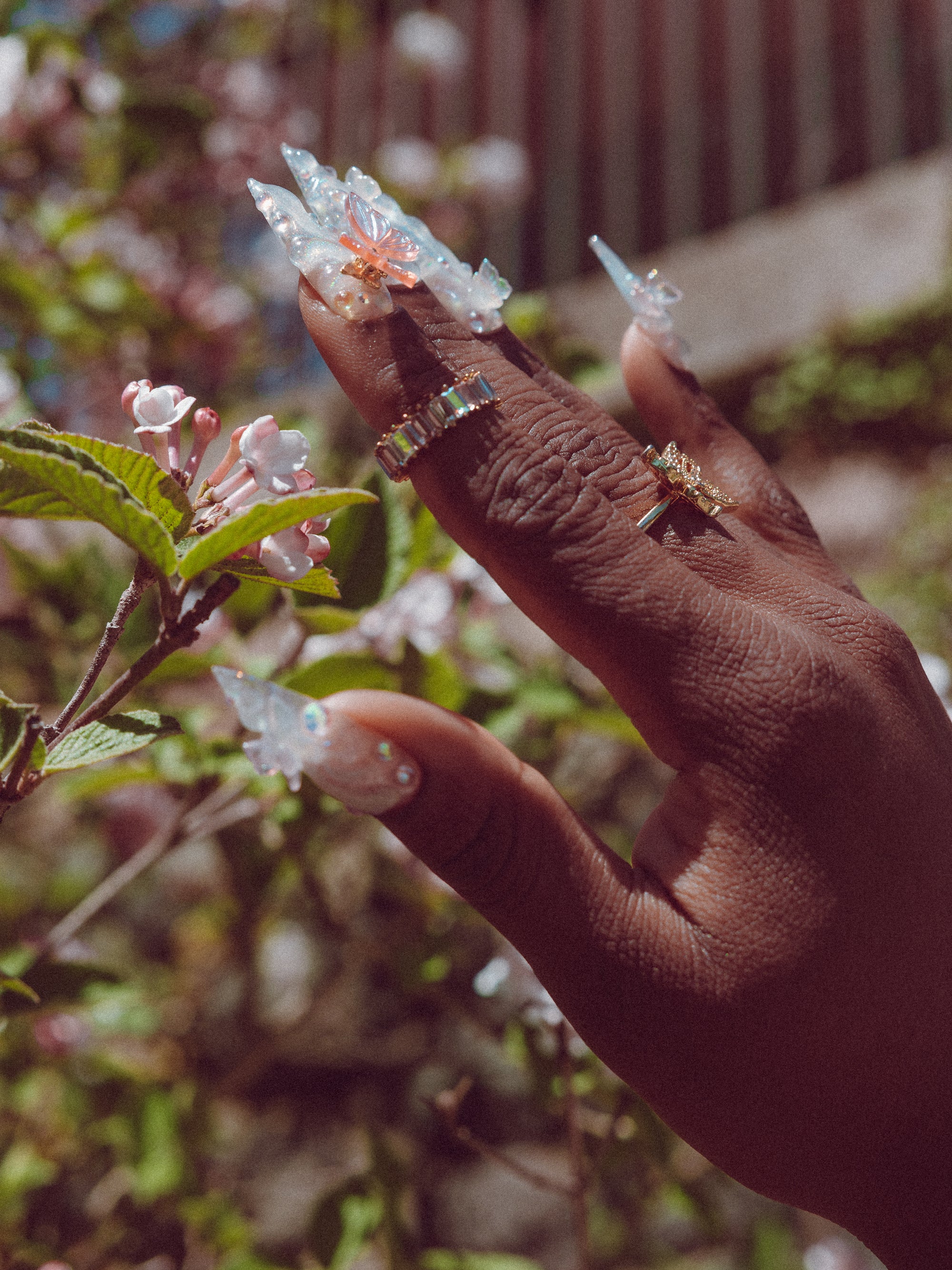 Coveted Claws - Luxury Press On Nails – Coveted Claws LLC